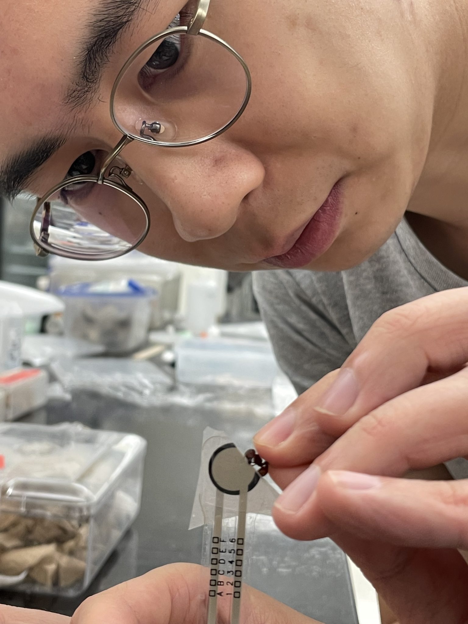 People – Suarez Lab